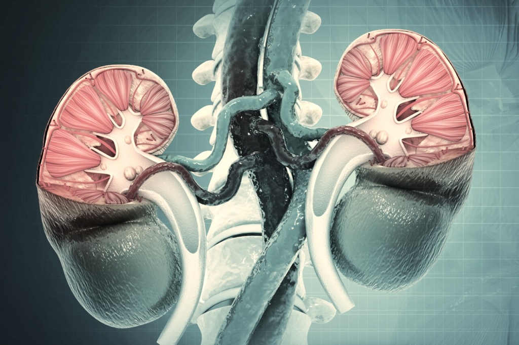 Most Clinically Significant Kidney Cancer Presentations from ASCO 2026